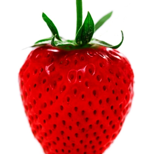 Production | The Jam Trolley